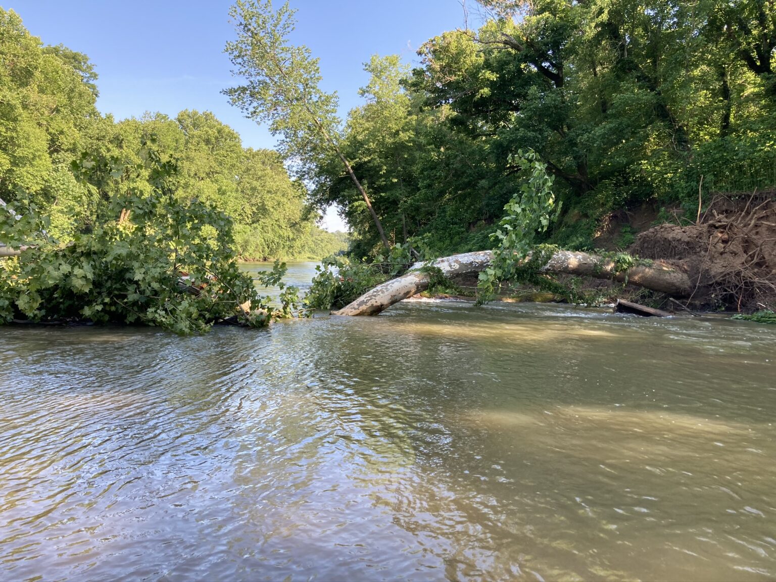 Paddling on the Duck River - Access Points and information