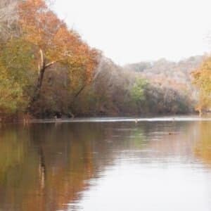 Paddling on the Duck River - Access Points and information