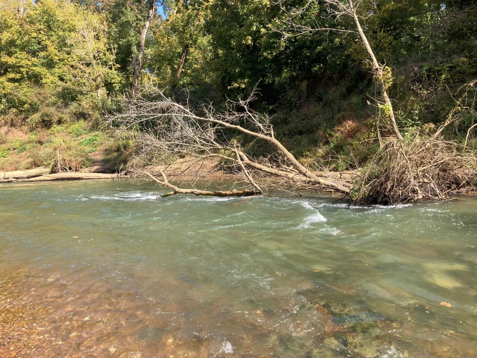 Paddling on the Duck River - Access Points and information